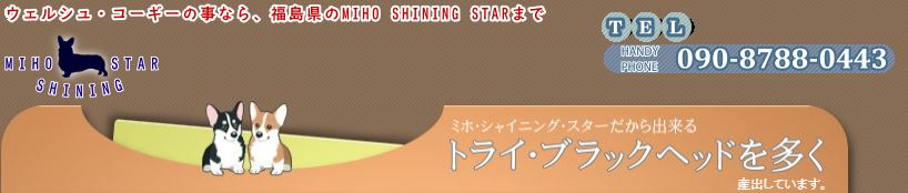 MIHO SHINING STAR･FIELD STAR | FriFriフリフリ